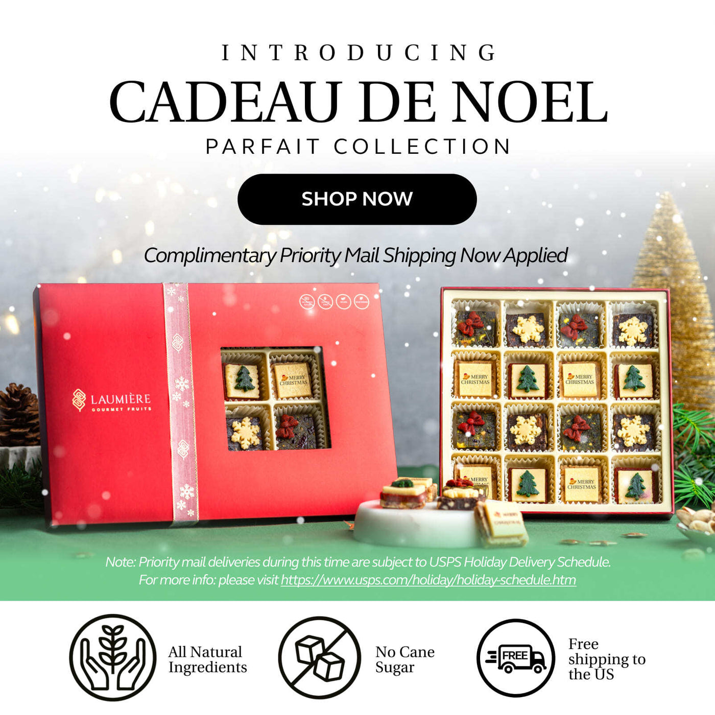 Laumière Gourmet Fruits | Luxury Gift Box | Gourmet Nuts Gift Box